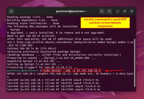 How To Do A Udp Ping In Linux 3 Effective Methods