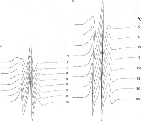 Figure 1 From Lipid Phase Of Transverse Tubule Membranes From Skeletal Muscle An Electron