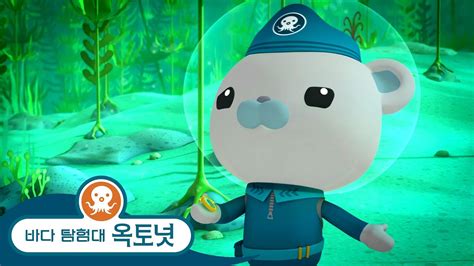 바다 탐험대 옥토넛 거대한 켈프 숲 미로 모음집 Youtube