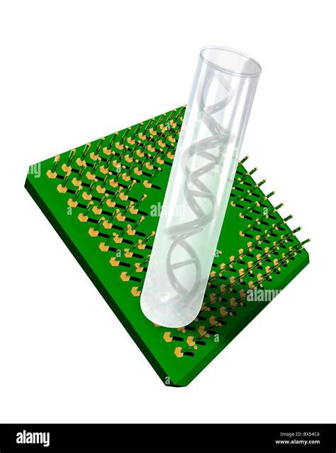 Lab On A Chip Conceptual Artwork Stock Photo Alamy