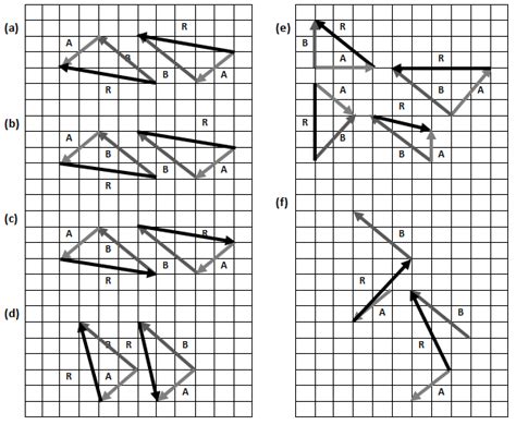 Babes Responses To Graphical Vector Addition In Two Dimensions A Download Scientific