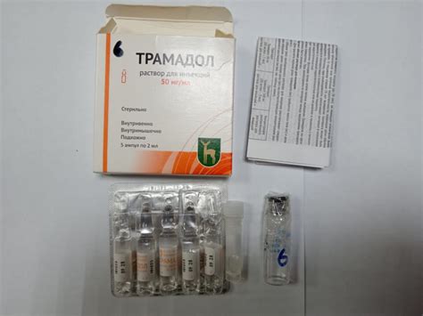 Житель Саранска «прикормил товарища «Трамадолом ему грозит 8 лет колонии — Столица С