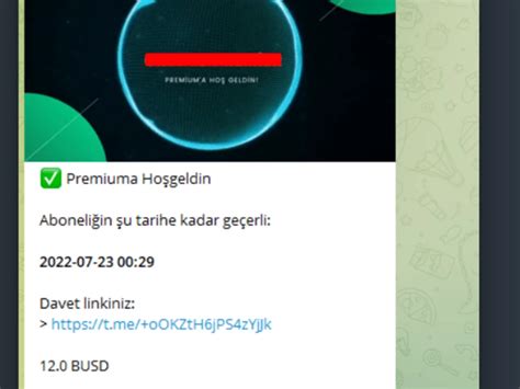 Telegram Chatbot With Advanced Functions Upwork