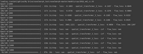 Training With Ncc Loss Leads To Nan And Inf Losses · Issue 127