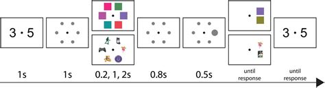 No Evidence For An Object Working Memory Capacity Benefit With Extended Viewing Time Eneuro