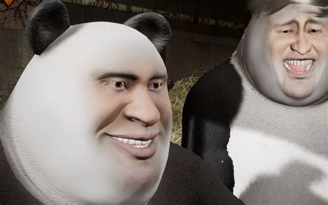 希望猪没事 帅脸熊 帅脸熊 哔哩哔哩视频