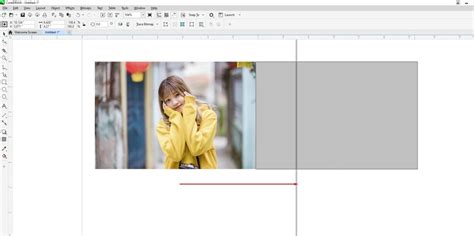How To Flip Objects And Images On CorelDRAW Void Graphics
