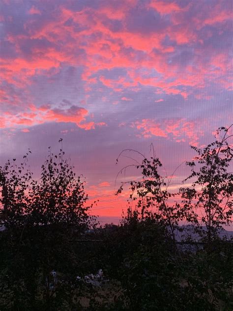 늦은 여름 저녁노을 추상적인 조경 하늘 미학 풍경 그림