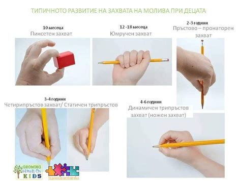 Терапевтилничка Етапи на развиване на захващане на средството за писане през които преминават