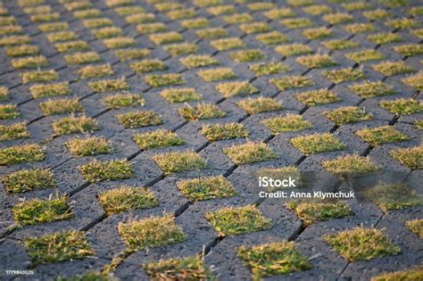 회색 자연석으로 만든 사각형 타일의 배경 질감입니다 도로의 콘크리트 가로 기하학적 포장 패턴 녹색 잔디 및 생태 주차장 녹색