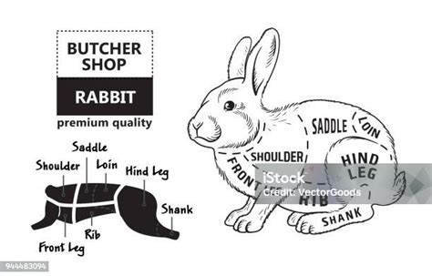 토끼의 커트 식료품 고기 매장 정육점 정육점 다이어그램 포스터 농부 시장 토끼 실루엣입니다 벡터 일러스트입니다 가금류에 대한 스톡 벡터 아트 및 기타 이미지 Istock