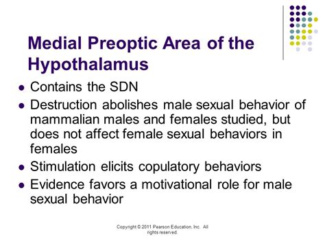 Prepared By Jeffrey W Grimm Western Washington University Ppt Video Online Download
