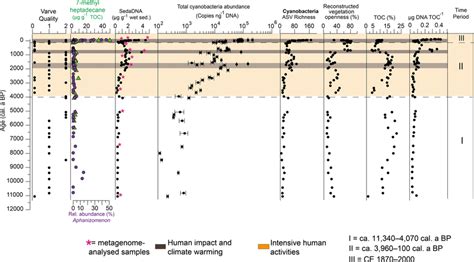 Sediment Chronology With Sedimentological Parameters Sedadna Content Download Scientific