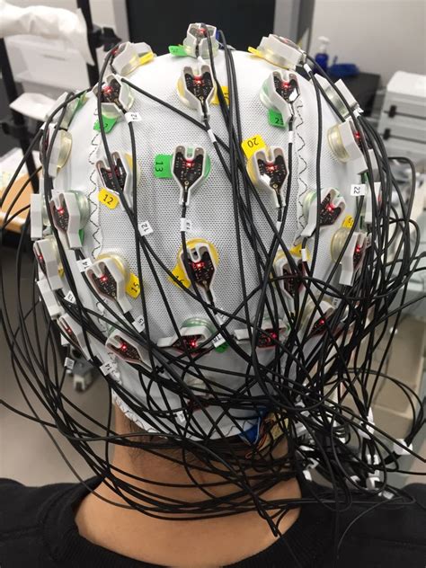 Publications Sensorimotor Cognition And Computation Laboratory