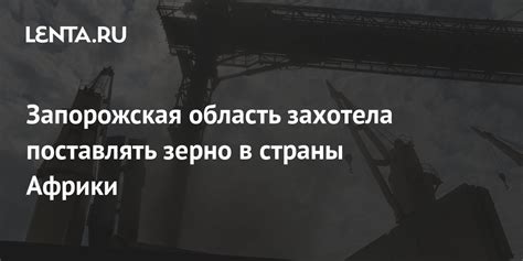 Запорожская область захотела поставлять зерно в страны Африки Рынки Экономика