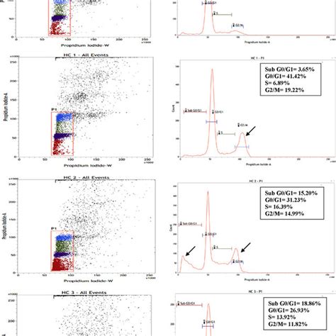 Cell Cycle Analysis Cell Cycle Distribution Analysis After Treatment Download Scientific