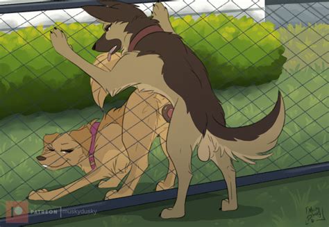 Rule 34 Anatomically Correct Anatomically Correct Genitalia