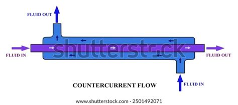 Counter Current Flow Countercurrent Flow Heat Stock Illustration 2501492071 Shutterstock