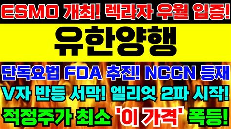 유한양행 주가전망 🚨긴급속보🚨esmo 개최 렉라자 우월성 입증 단독요법 Fda 추진 Nccn 권장 등재 V자 반등 서막