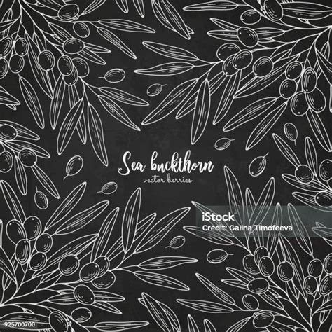 딸기와 건강 식품 디자인 서식 파일입니다 손 바다 갈 매 나무속으로 그려진된 프레임입니다 여름 또는을 템플릿 칠판에 레이블 그레이트 디자인 메뉴 조리법 포스터 포장 디자인