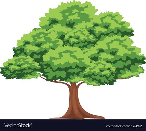Tree Royalty Free Vector Image Vectorstock