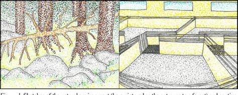 Figure 1 From A Tale Of Tails Prevention Of Tail Biting By Early