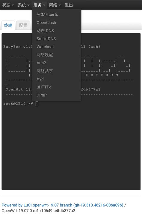 1907 Bug Report Luci App Ttyd Cannot Display In Luci Menu · Issue