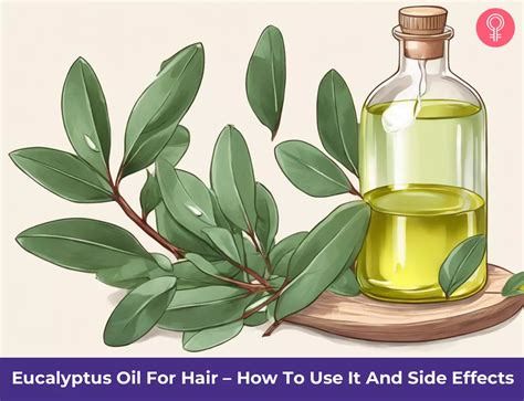 Eucalyptus Oil For Hair How To Use It And Side Effects