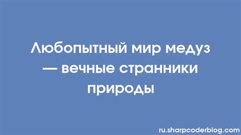 Любопытный мир медуз — вечные странники природы Sharp Coder Blog Любопытный мир медуз — вечные странники природы Sharp Coder Blog