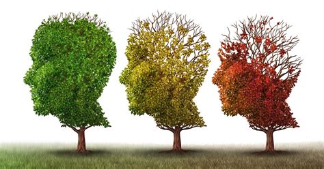 Loveland Colorado Senior Housing Assisted Living Dementia Represented By Tree Imagery