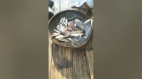 Maghbihu Mas Kaboloi Asiba Youtube