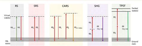 Figure 1 From Practical Considerations For Quantitative And Reproducible Measurements With