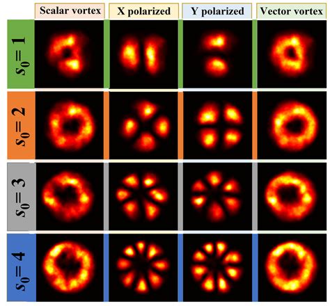 comparison of intensity patterns between scalar and vector vortex beams