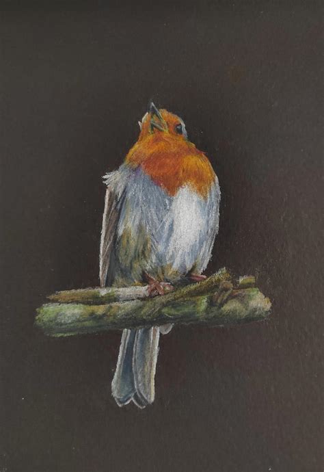 The Scream Of Robin 23 By Ciel Mytsu On Deviantart