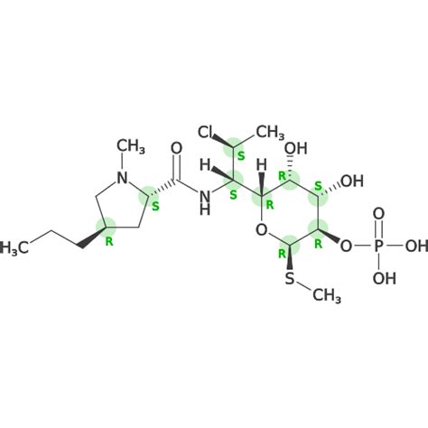 Clindamycin Phosphate Tox By Design