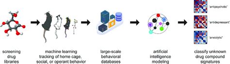 Behavior Based Phenotypic Drug Discovery Driven By Machine Learning