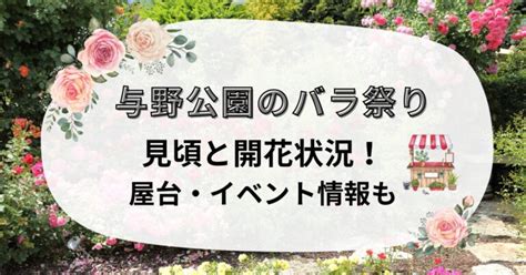 与野公園のバラ祭り2025の見頃と開花状況屋台イベント情報も うちの家族