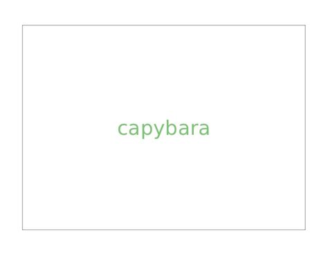 Functional Testing With Capybara
