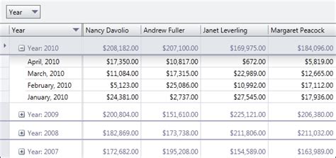Gridcontrol Devexpress Wpf Casterascse