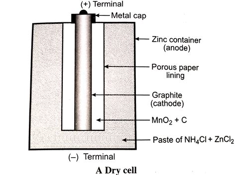 Draw Neat And Labelled Diagram Of Dry Cell