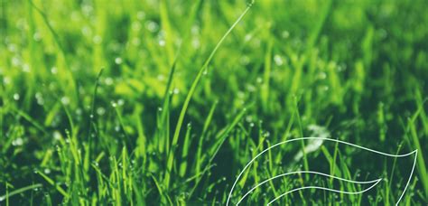 宁波酶赛生物工程有限公司 酶赛 酶赛生物丨定向进化 酶工程 酶优化 计算机辅助酶定向进化 生物催化 绿色化学 发酵 可再生资源 酶筛选