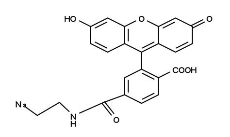 6 Fam Azide Aat Bioquest