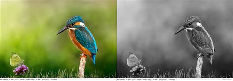 Albumentations图像增强详解（持续更新） Csdn博客