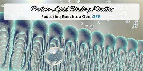 Binding Kinetics Of Protein Lipid Interactions Using Surface Plasmon Resonance