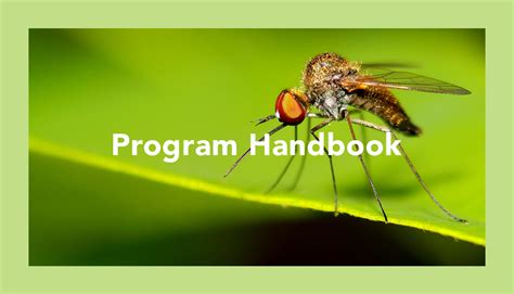 Resources — Biomimicry Youth Design Challenge