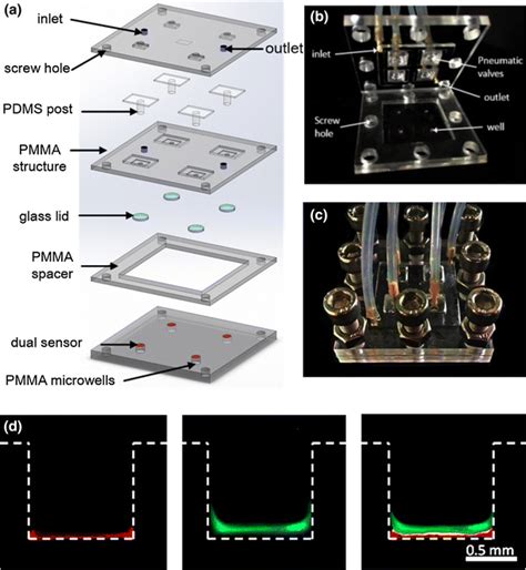 A Exploded View Of The Microwell Array Device B C Images Of The