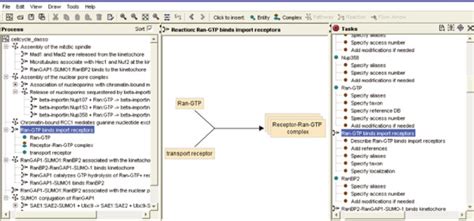 The Reactome Author Tool Provides Authors With A Graphical User Download Scientific Diagram