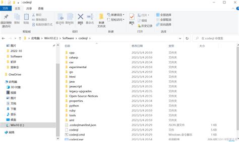 codeql从入门到精通系列 」02 codeql安装指导及使用方式 csdn博客