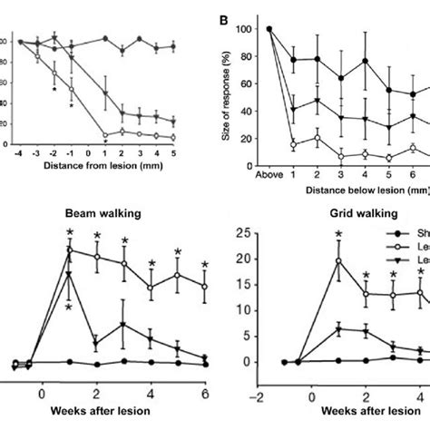 Reorganization Of Motor Output Using A Closed Loop Electronic Neural Download Scientific