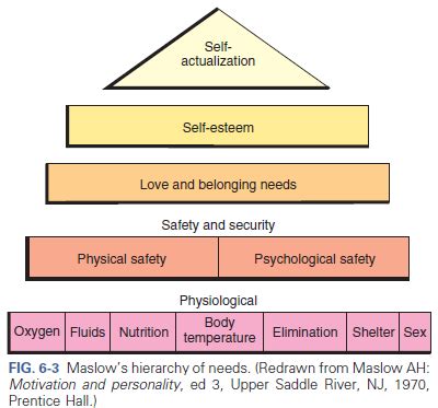 Fundamentals Of Nursing Maslow S Hierarchy Of Needs Self Actualization